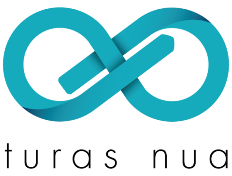 Inclusion through employment opportunities – case study of Turas Nua ...
